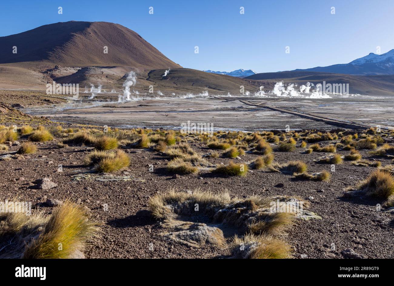 Exploring the fascinating geothermic fields of El Tatio with its ...