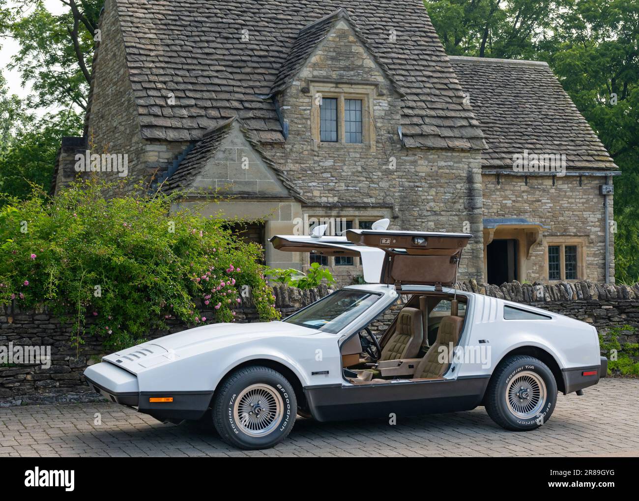 DEARBORN, MI/USA - JUNE 17, 2023: 1974 Bricklin SV-1 car with gull wing ...