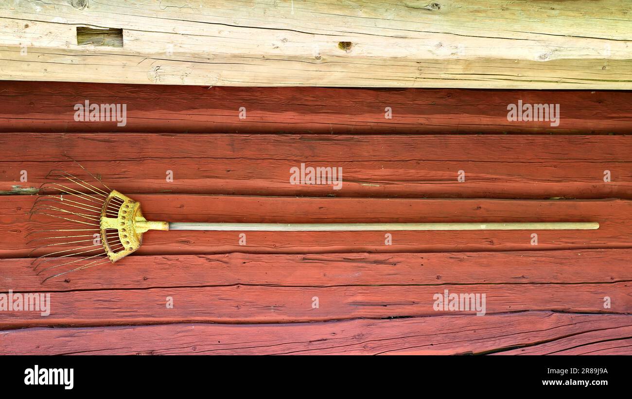 Old rusted rake hanging on the exterior of traditional log wall painted ...