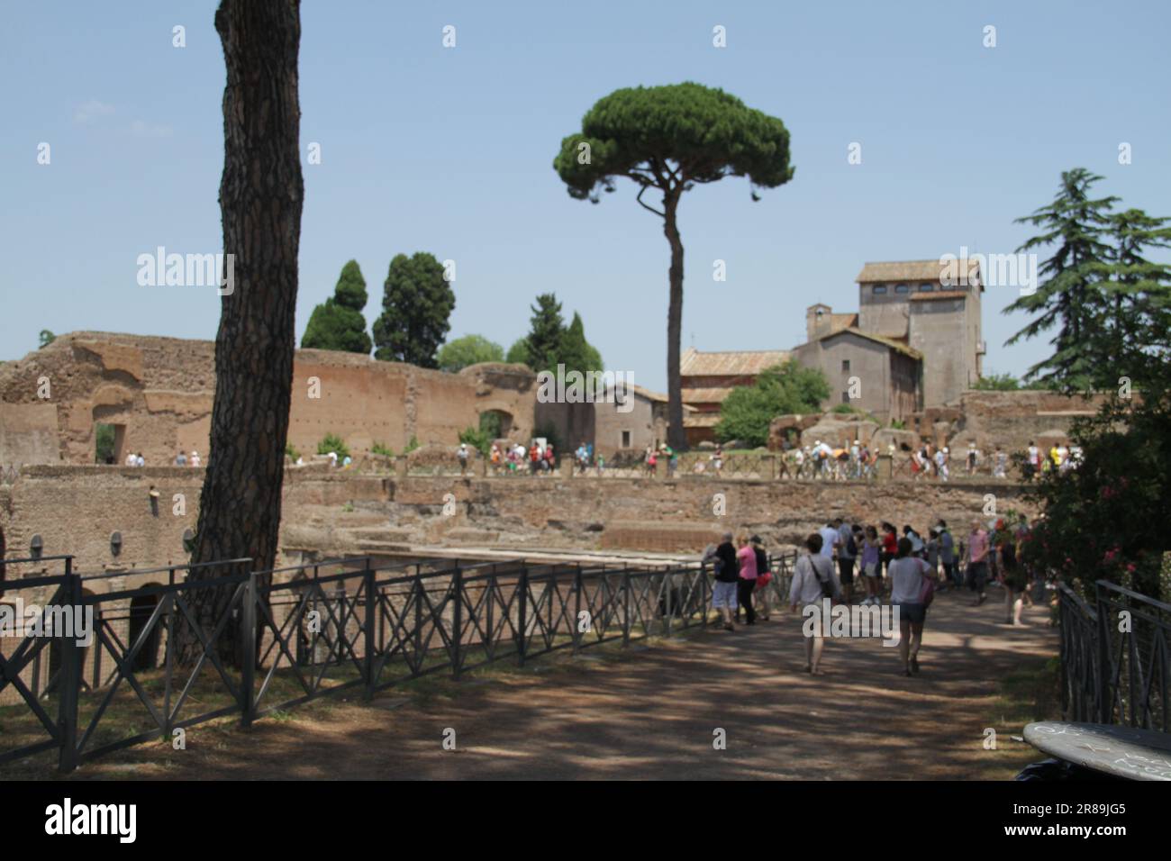 Step into the timeless beauty of Rome, where ancient history and modern ...