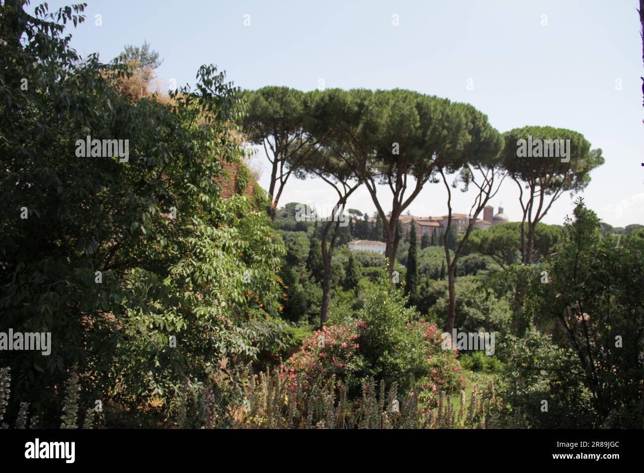 Step into the timeless beauty of Rome, where ancient history and modern ...