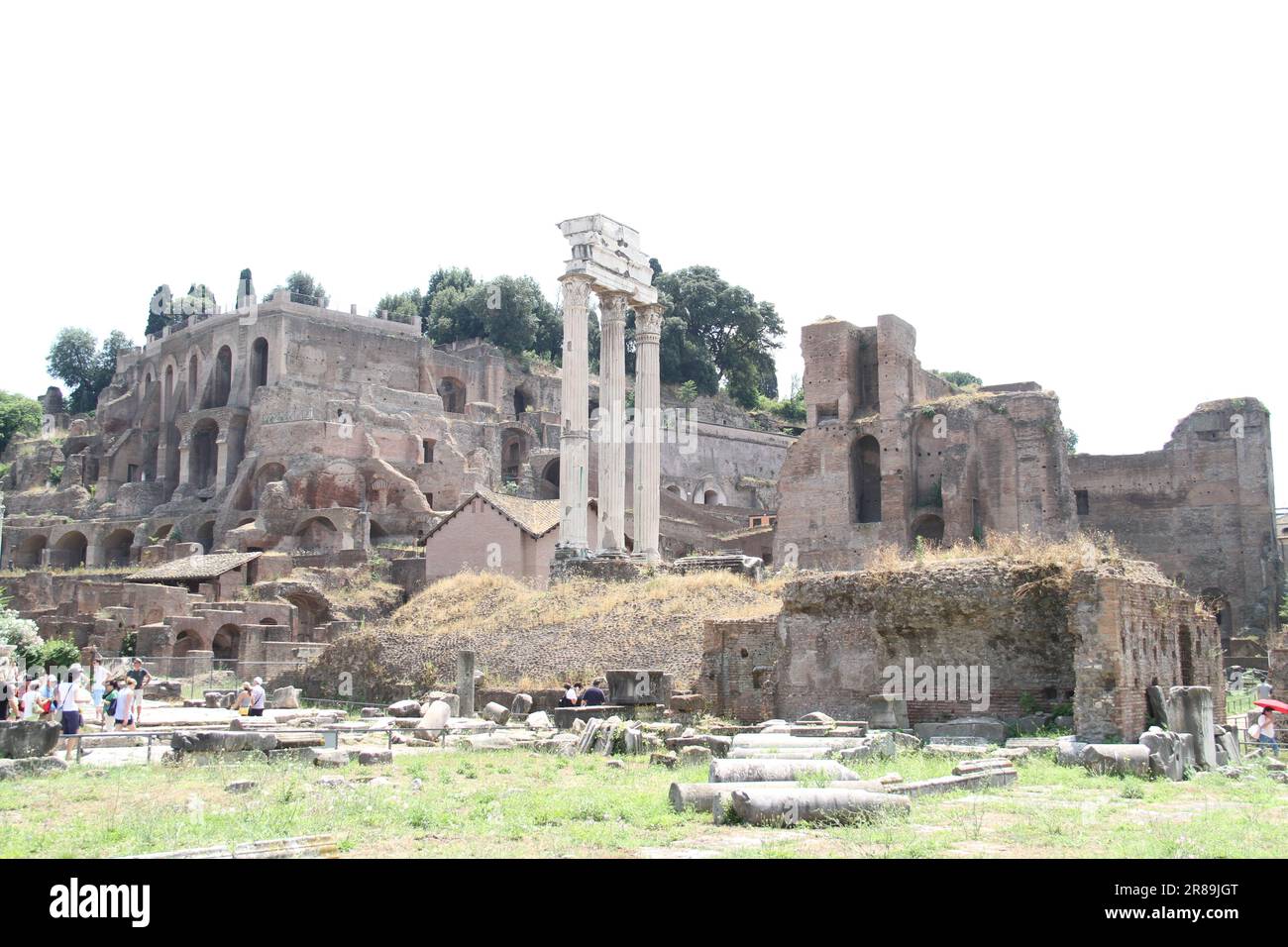 Step into the timeless beauty of Rome, where ancient history and modern ...