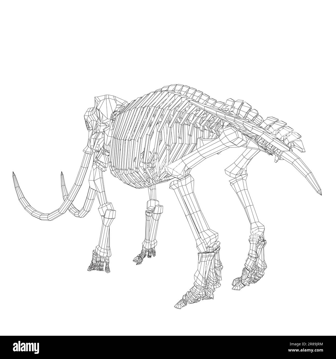 Vector Illustration of wireframe Mammoth Skeleton on Isolated White ...