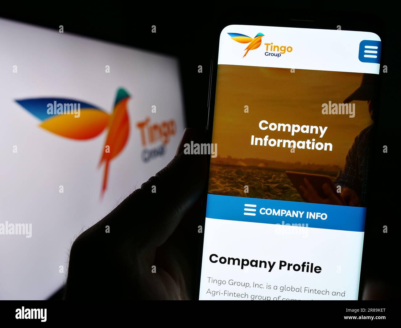 Person holding cellphone with website of agri-fintech company Tingo ...