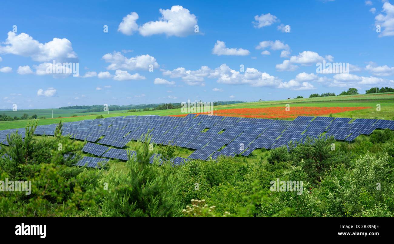Solar panels field of photovoltaic modules for renewable energy Stock ...