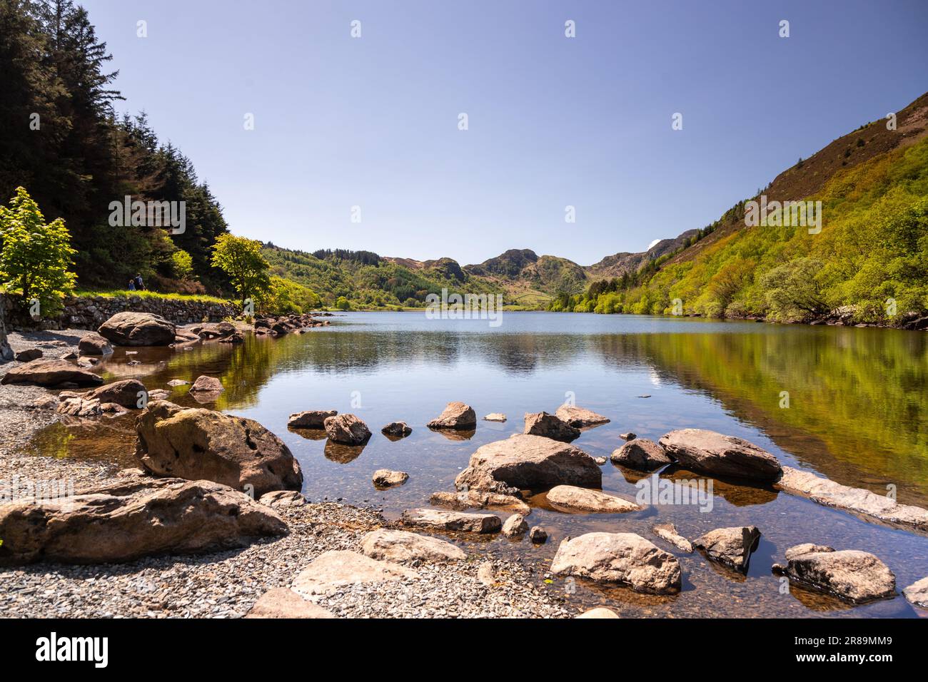 Llyn Crafnant in summer, Snowdonia, North Wales Stock Photo - Alamy