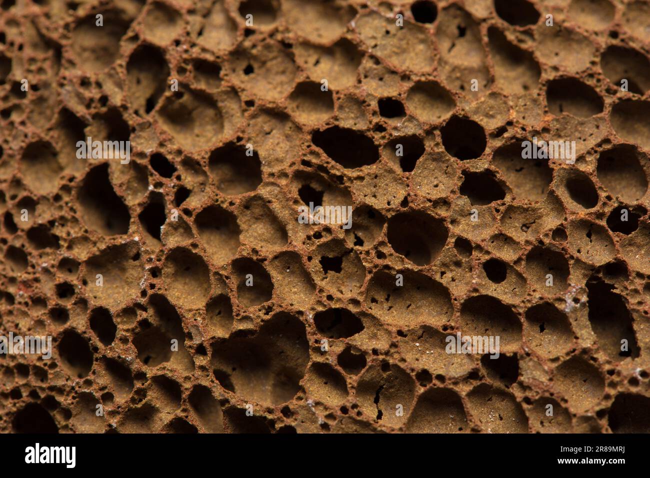 Closeup rock erosion holes sea wall Stock Photo - Alamy