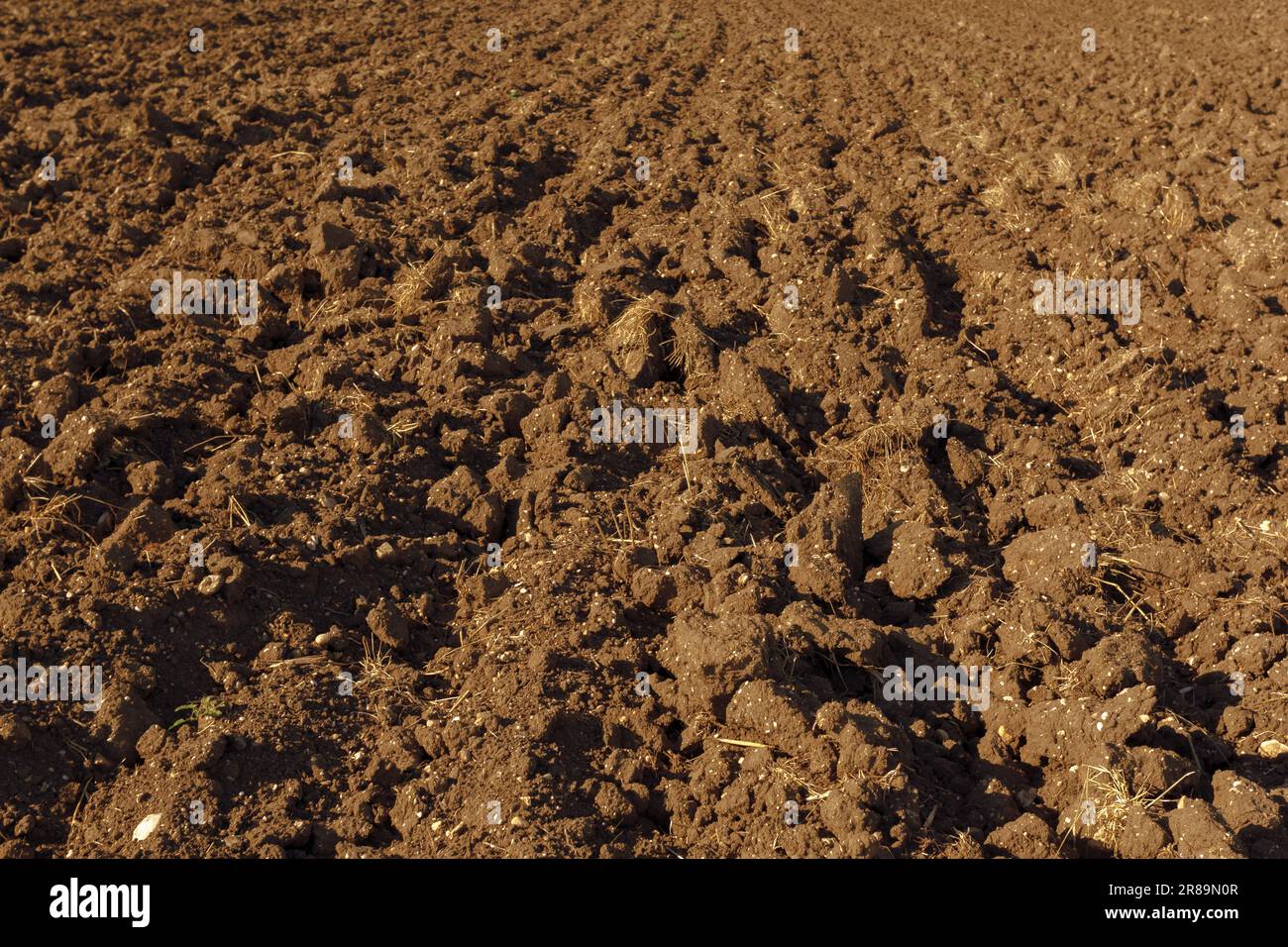 Soil texture background Stock Photo - Alamy