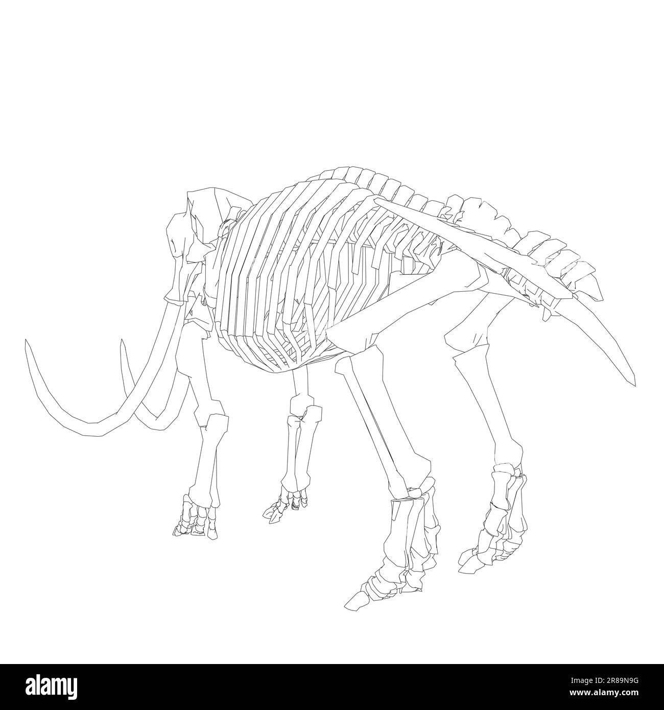 Vector Illustration of outline Mammoth Skeleton on Isolated White ...