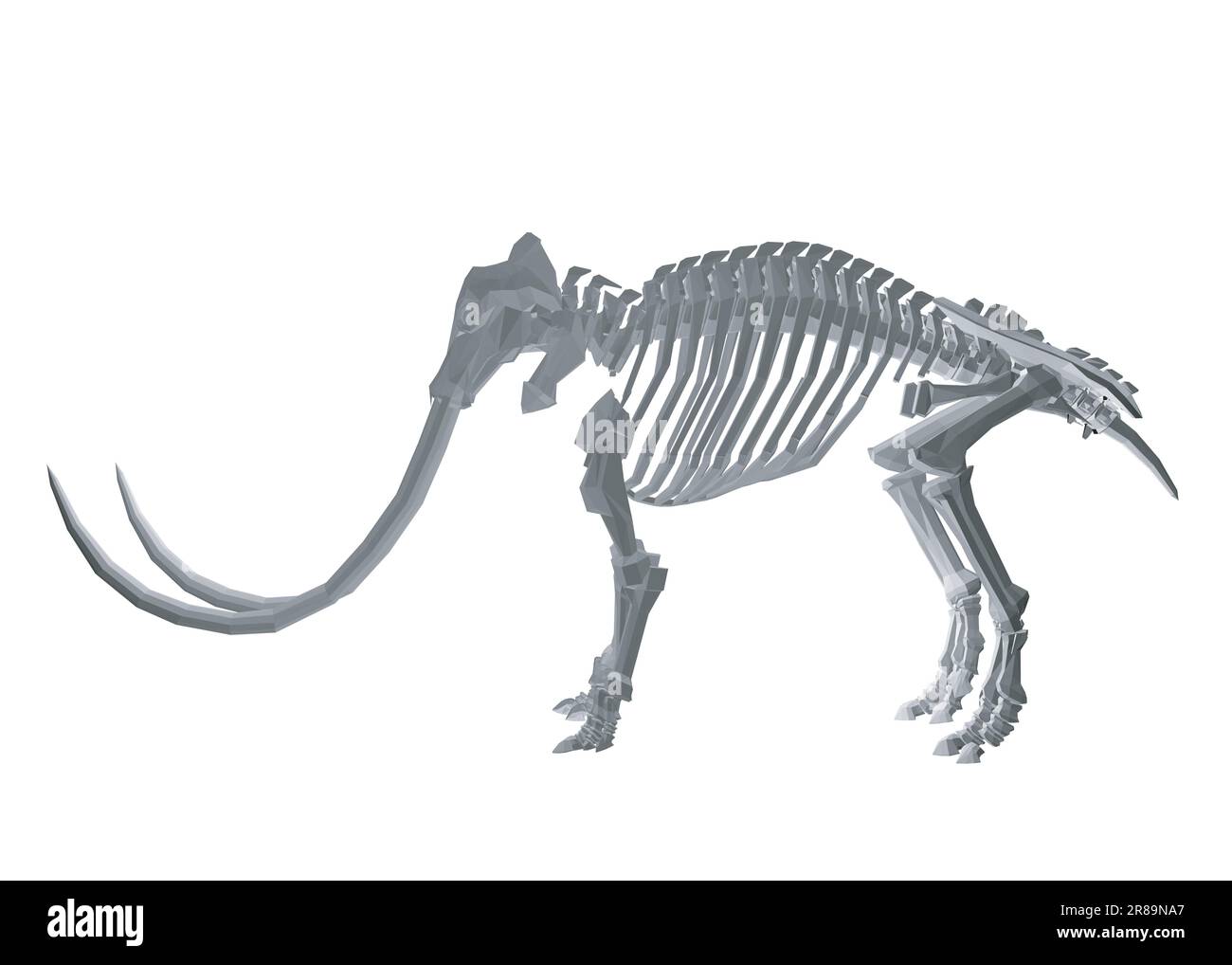 Vector Illustration of polygonal Mammoth Skeleton on Isolated White ...