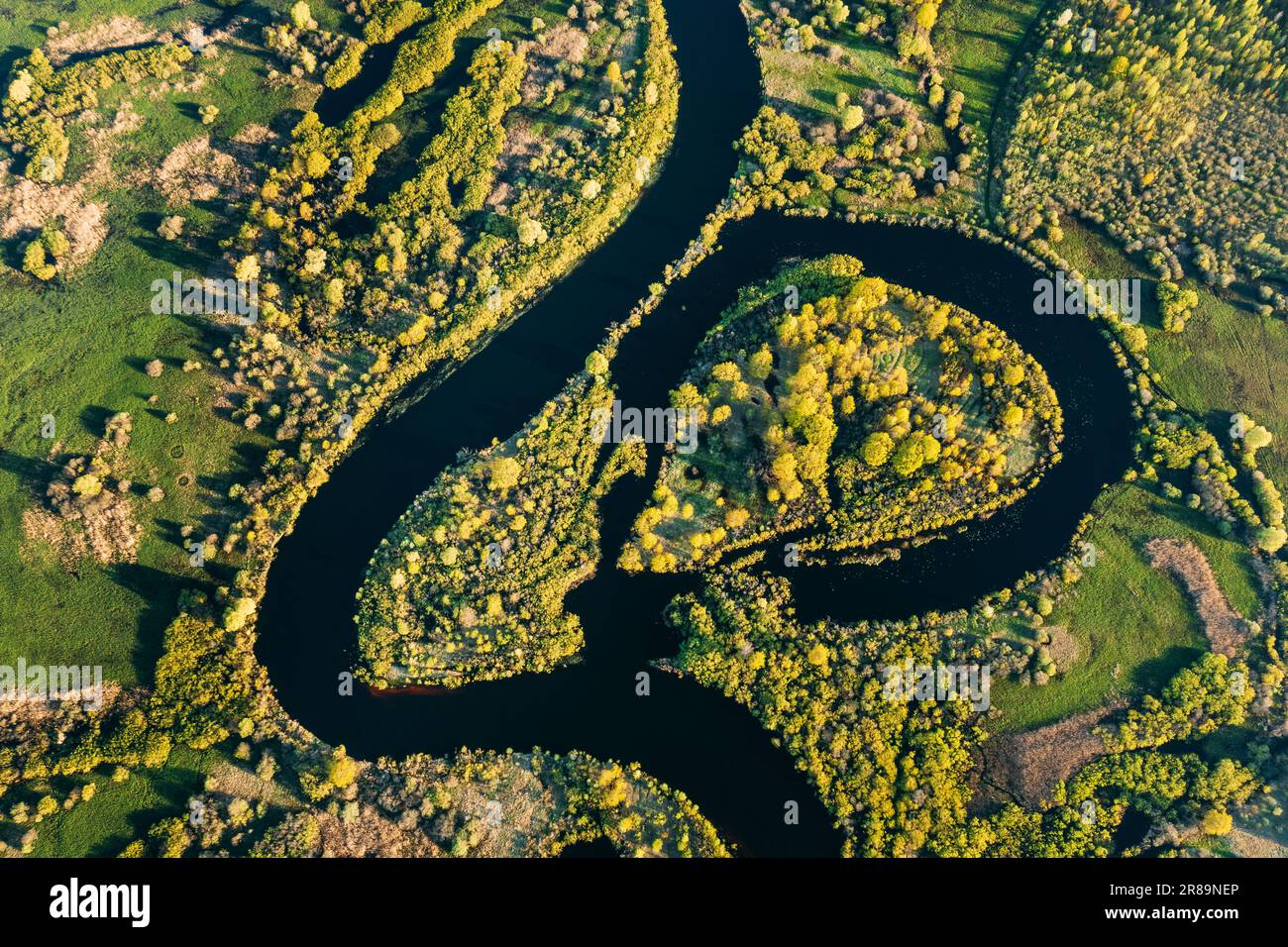 Aerial View Green Forest Woods And River Landscape In Sunny Spring ...