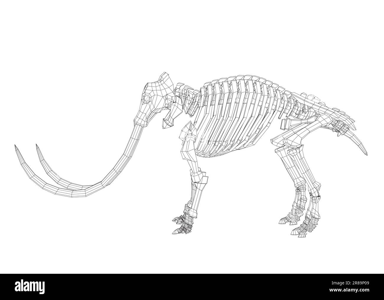 Vector Illustration Of Wireframe Mammoth Skeleton On Isolated White Background Vector