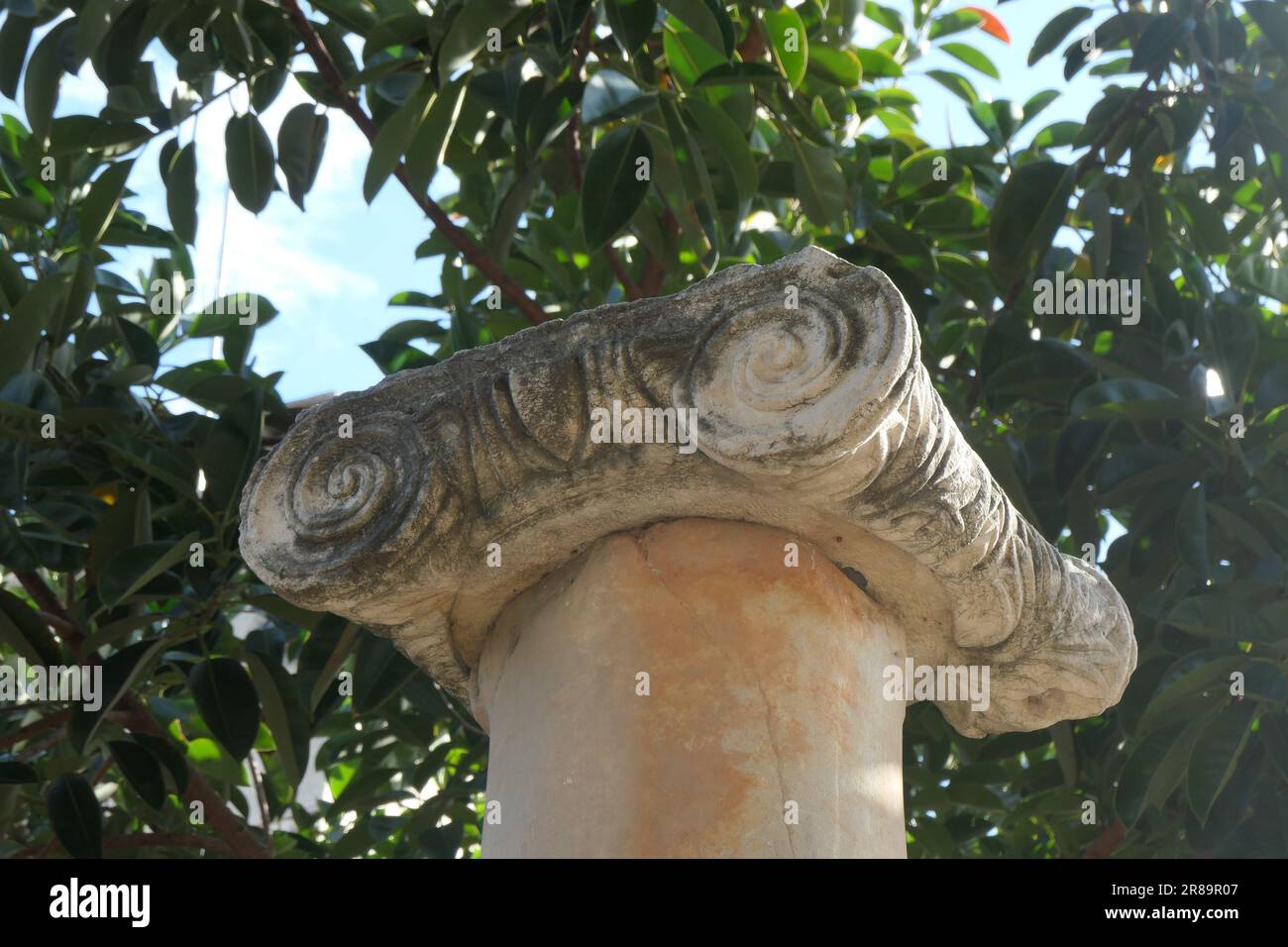 Capital of the ancient column surrounded by greenery Stock Photo - Alamy