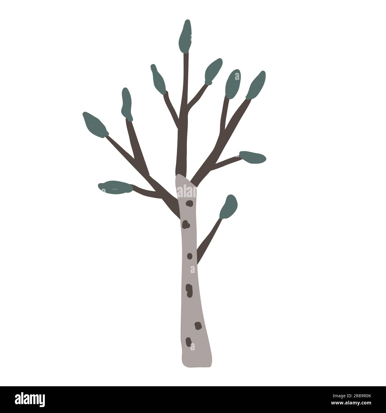 Birch Leaf Designs Clipart