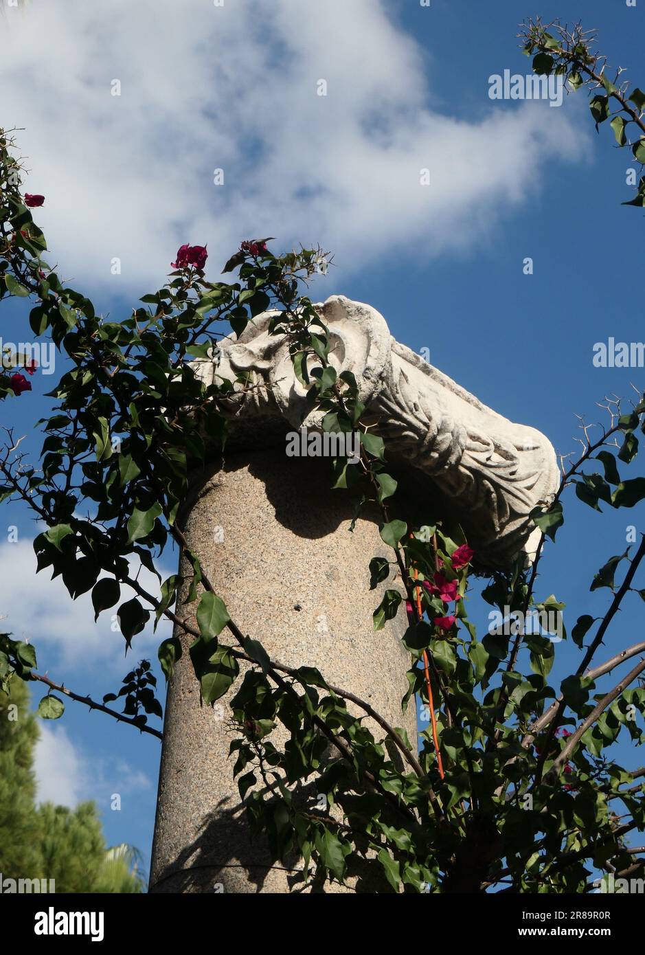 An ancient column surrounded by greenery and flowers Stock Photo - Alamy