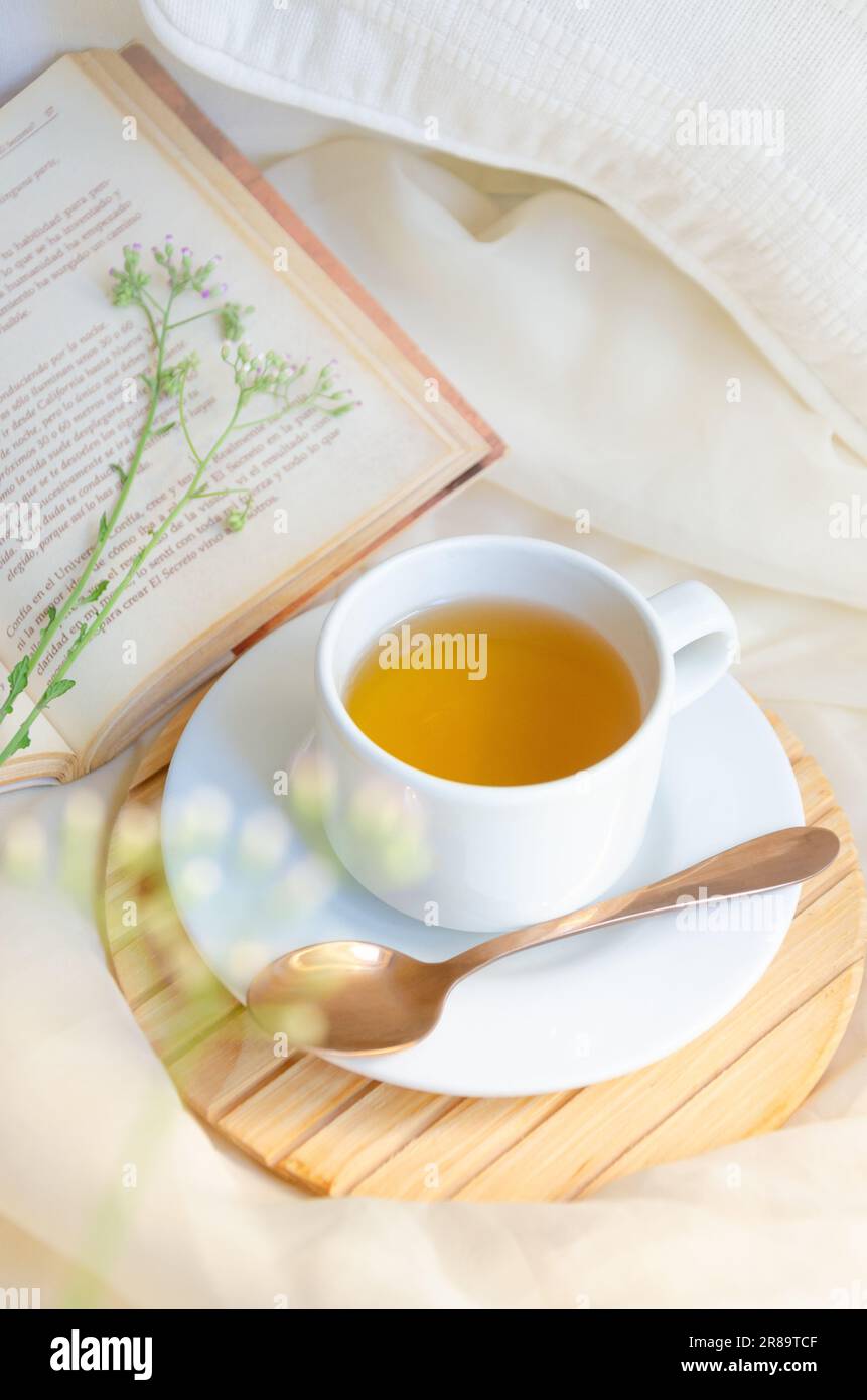 Tea cup next to book and leaves. Relax moment Stock Photo - Alamy