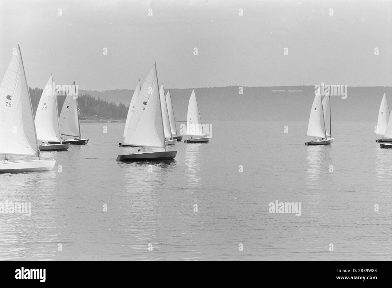 Current 29-3-1960 : Breeze in small sails. Future great sailors start ...