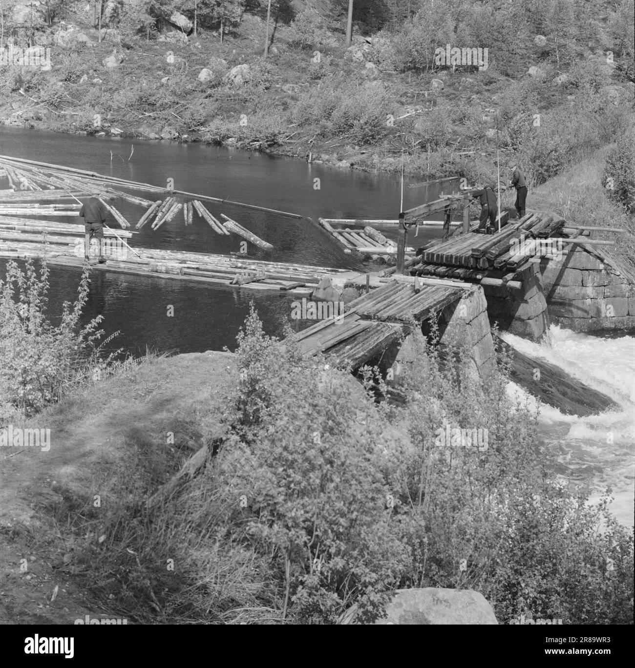 Current 26-1-1960: The timber must be delivered The river is still the ...