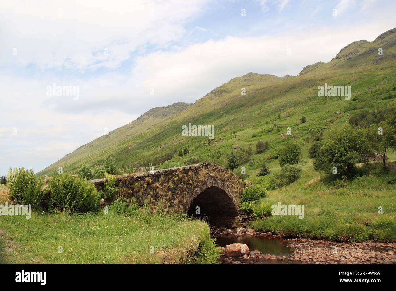 Butterbridge hi-res stock photography and images - Alamy
