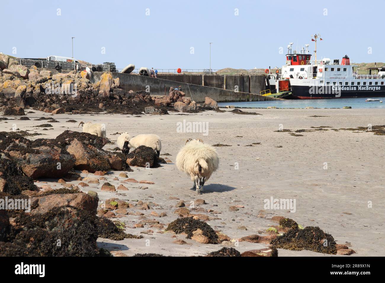 Calmac ferry, Fionnphort Stock Photo - Alamy