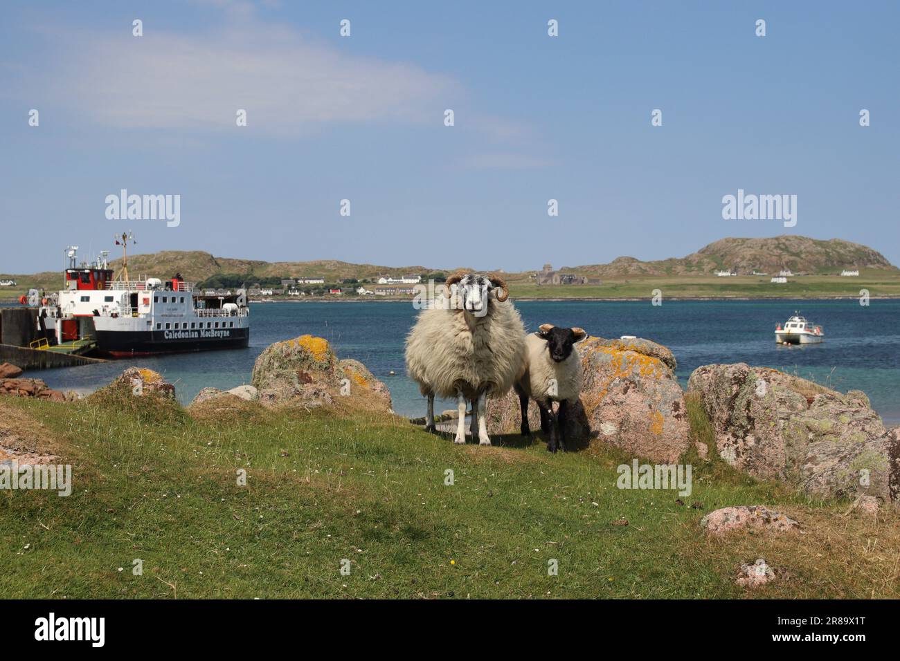 Calmac ferry, Fionnphort Stock Photo - Alamy