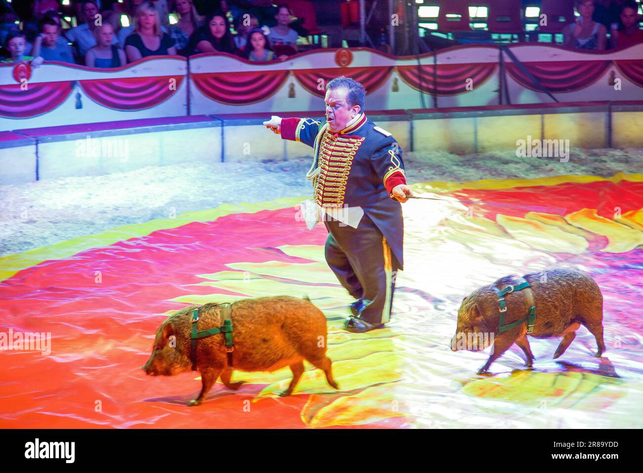Netherlands, Lilliputian ringmaster has a circus performance with ...