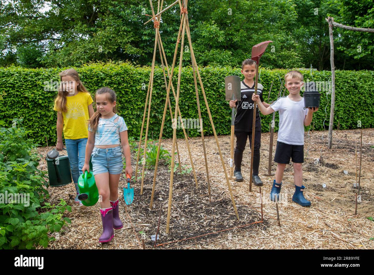 Netherlands, Gendt, children worked in a vegetable garden and bring ...