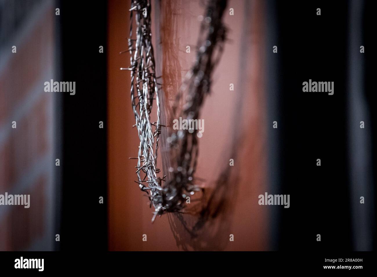 Exhibition 1950s presents decade of Czechoslovak history, symbols of ...