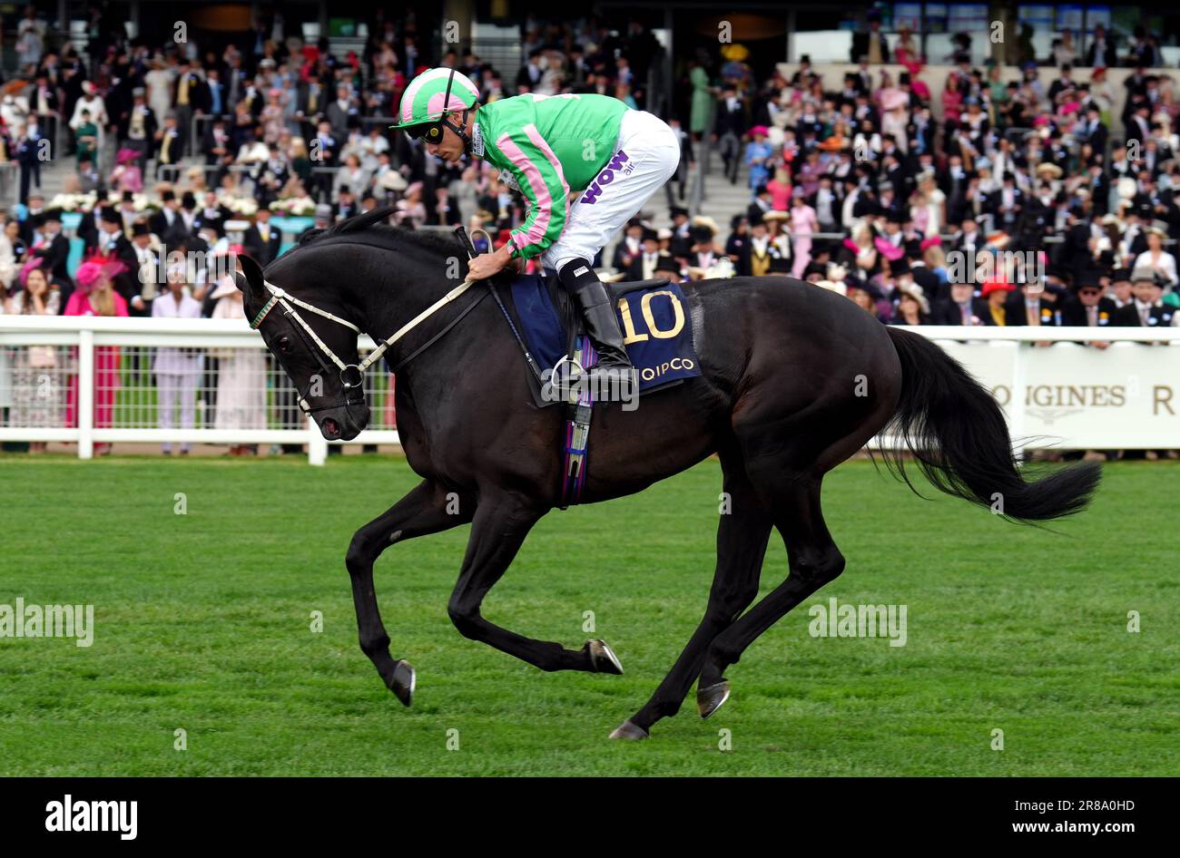 Pogo horse racing hi-res stock photography and images - Alamy