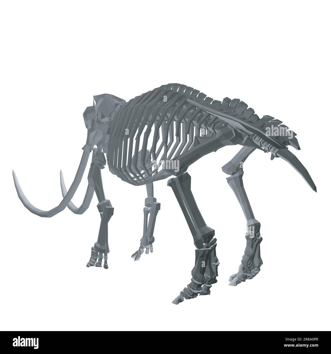 Vector Illustration of polygonal Mammoth Skeleton on Isolated White ...