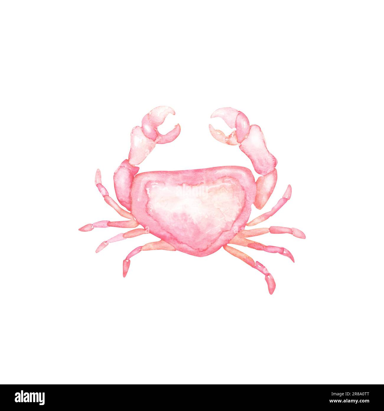 watercolor pink crab Stock Photo - Alamy