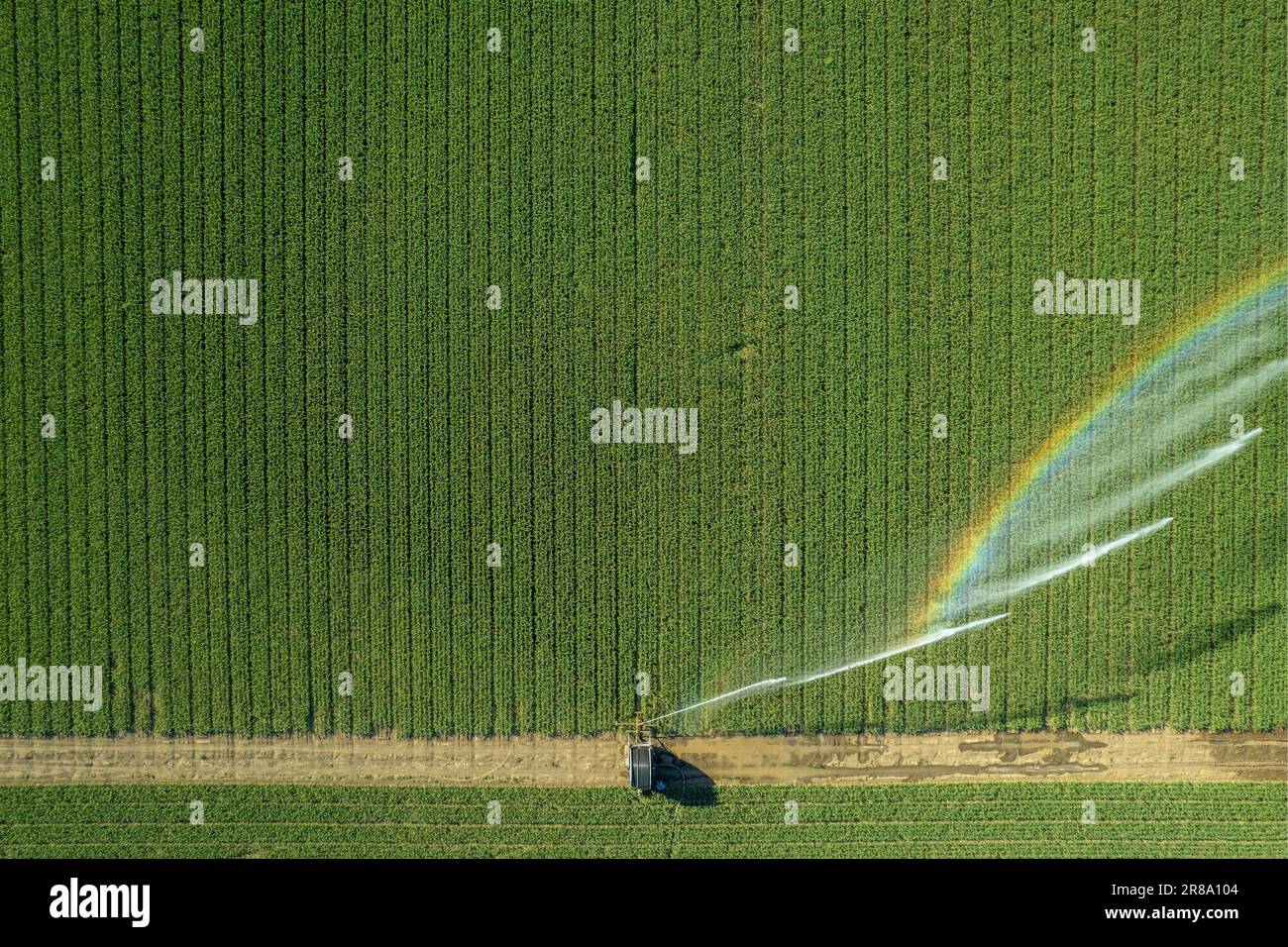 Aerial drone photography of agricultural irrigation system with a big ...