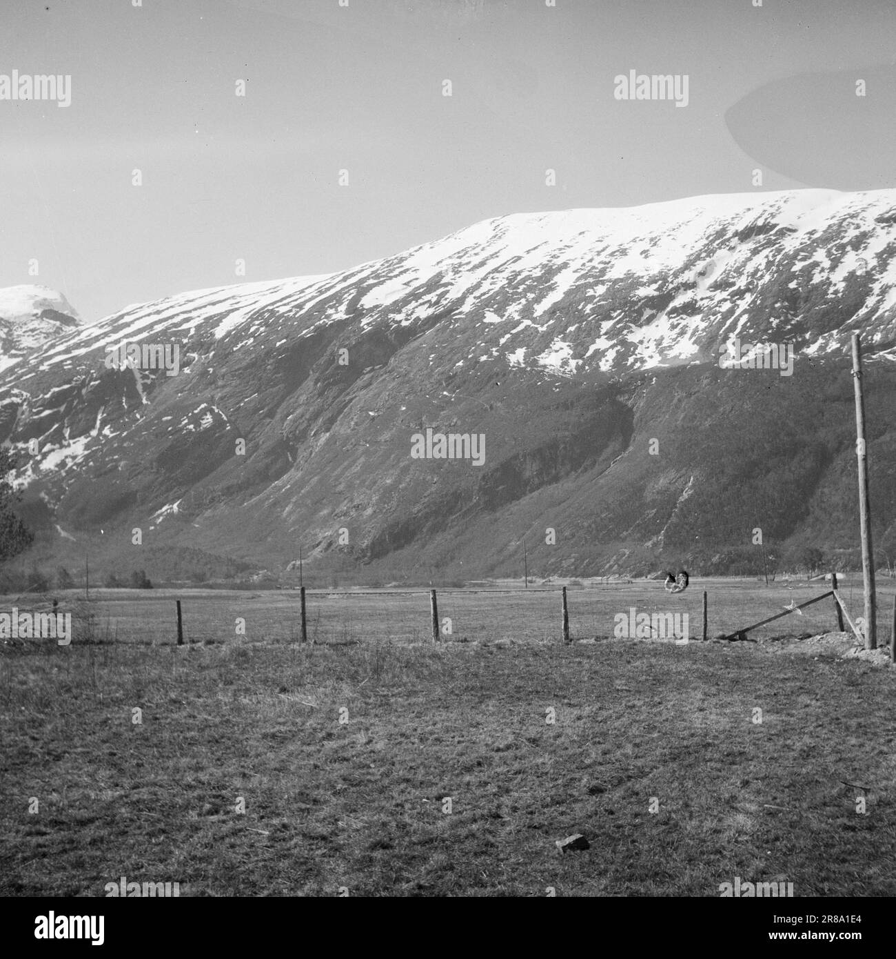 Current 12 1 1947 Aura Plant Technologys Sleeping Beauty Wakes Up
