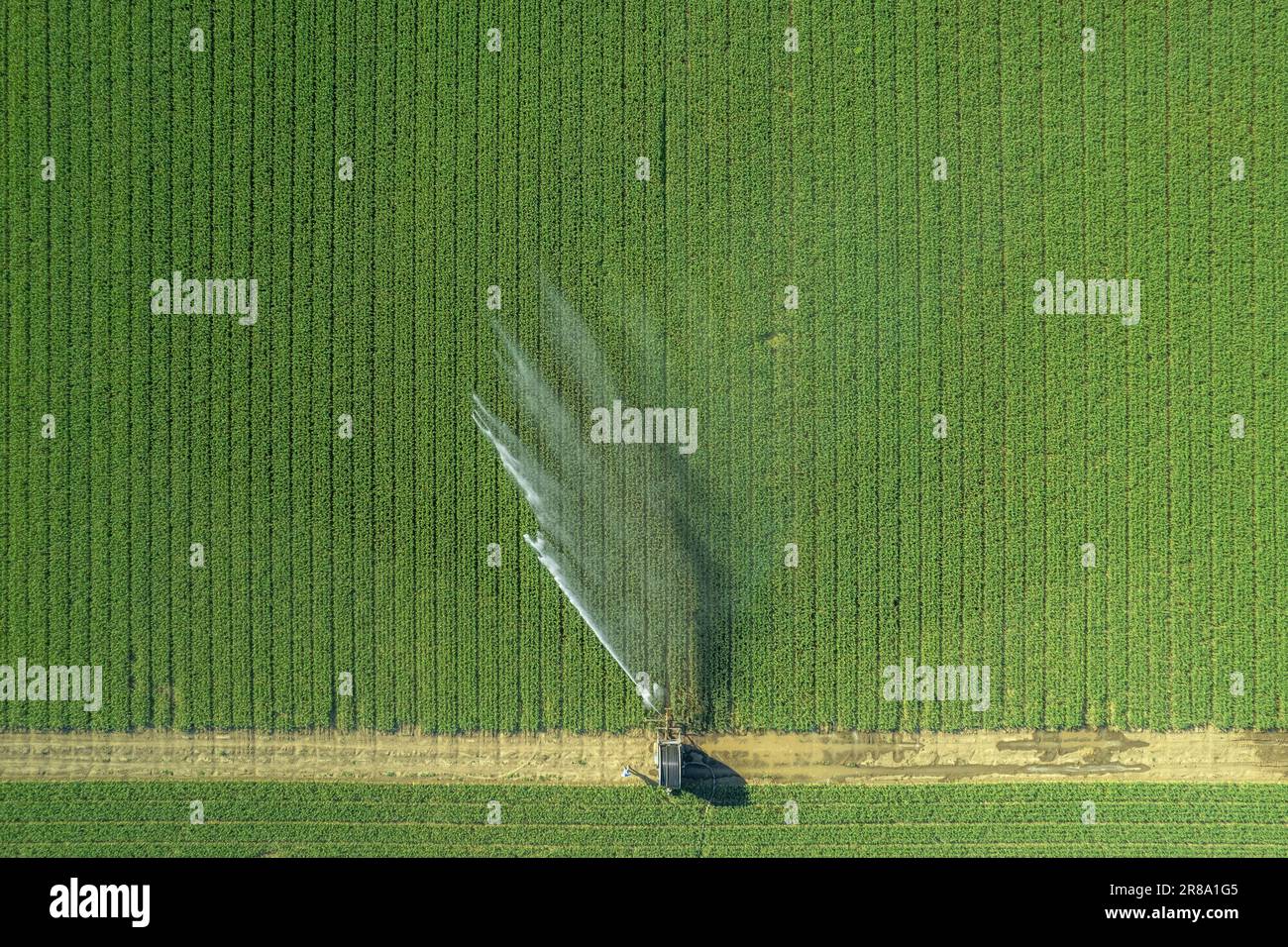 Aerial drone photography of agricultural irrigation system with a big ...