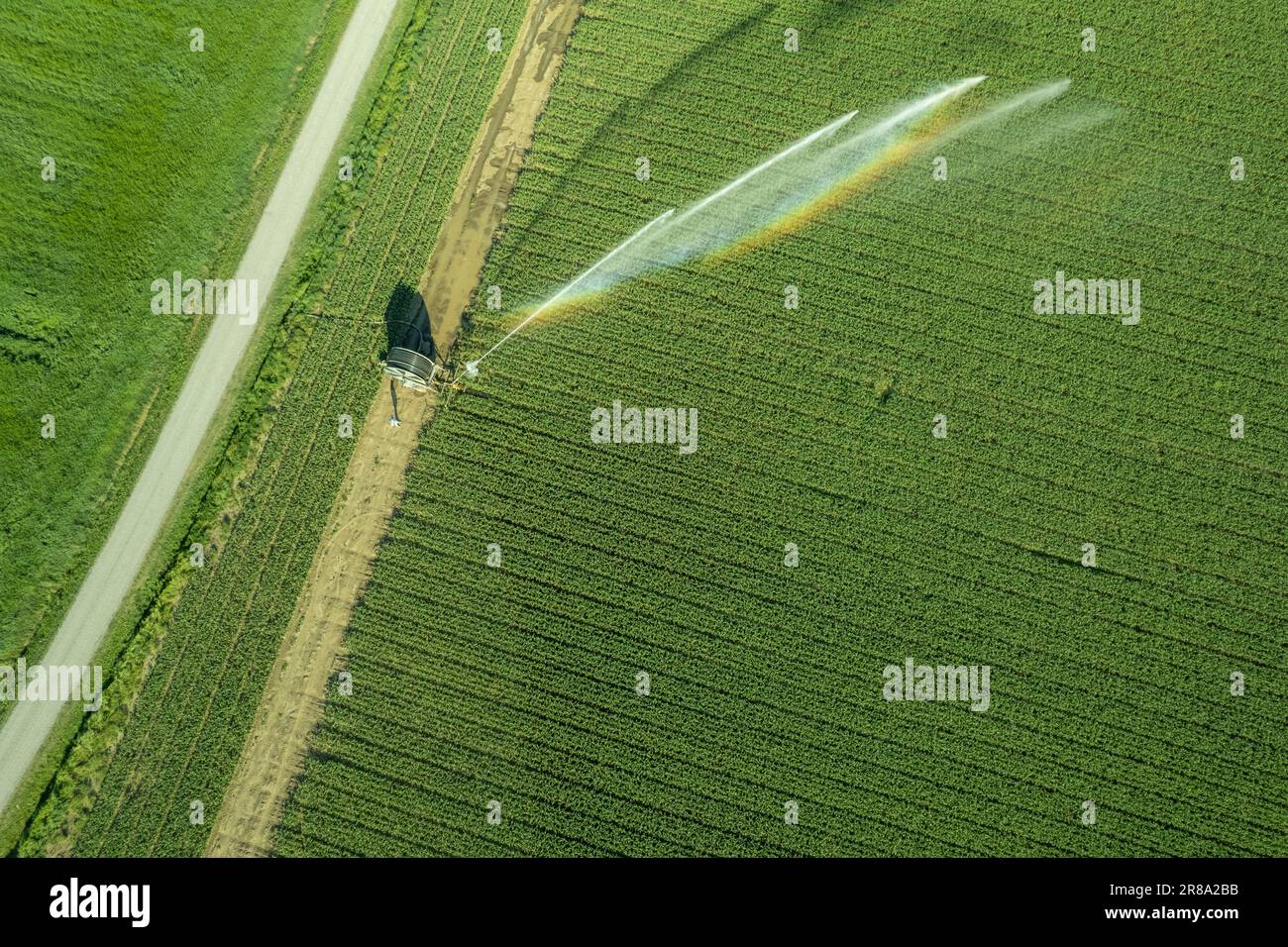 Aerial drone photography of agricultural irrigation system with a big ...
