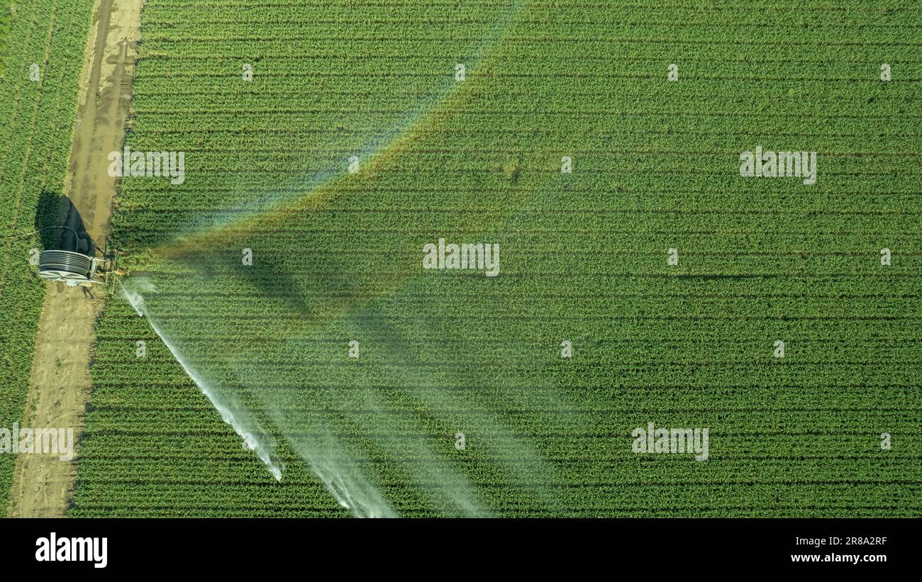 Aerial drone photography of agricultural irrigation system with a big ...