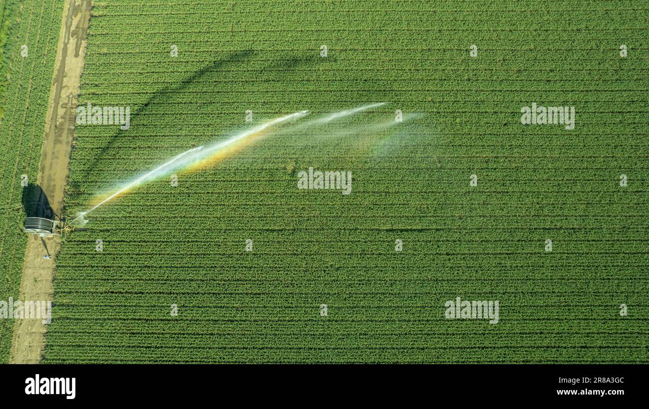 Aerial drone photography of agricultural irrigation system with a big ...