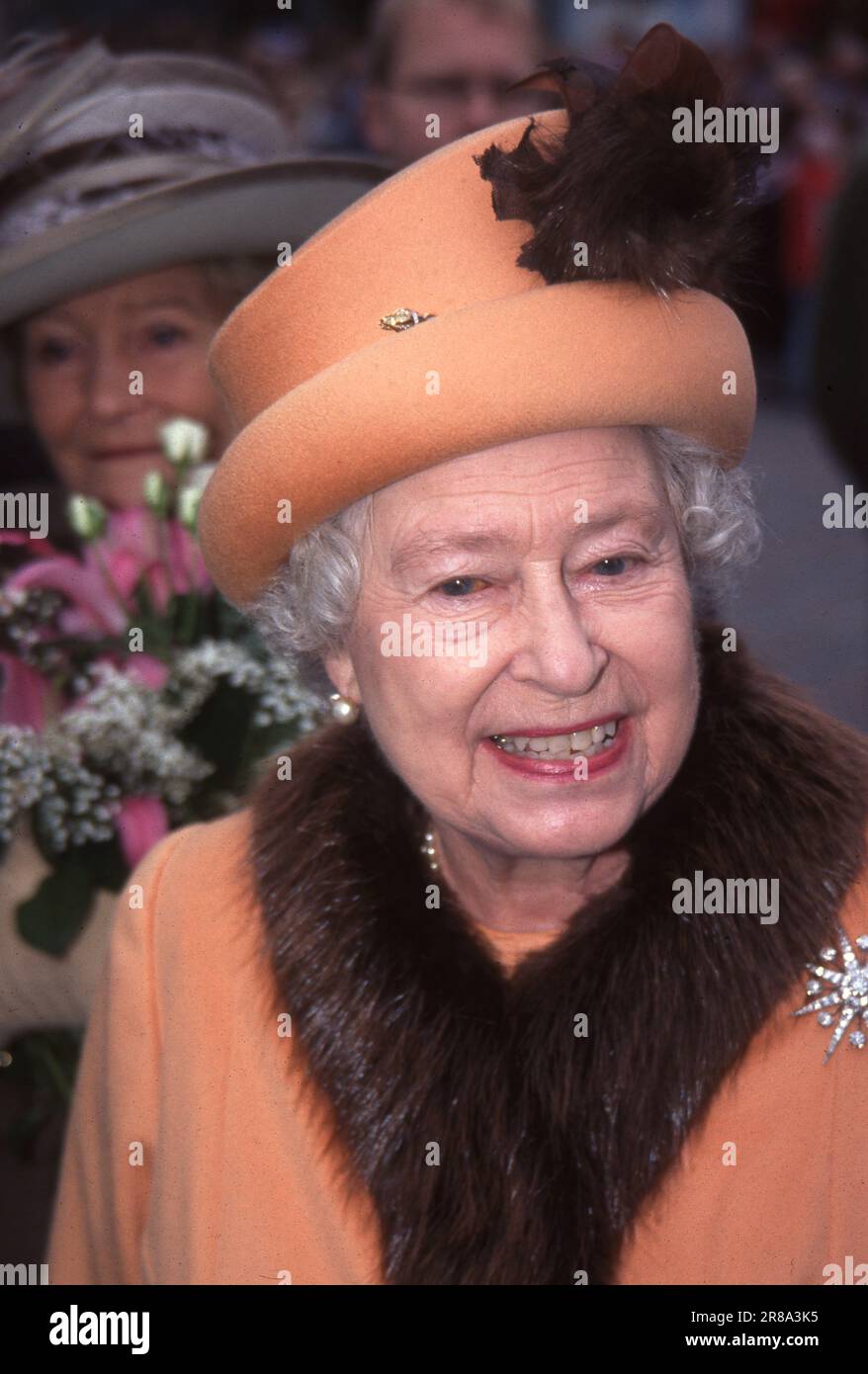 Queen portrait town hall hi-res stock photography and images - Alamy