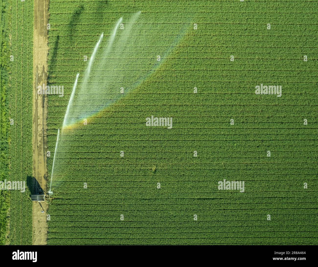 Aerial drone photography of agricultural irrigation system with a big ...