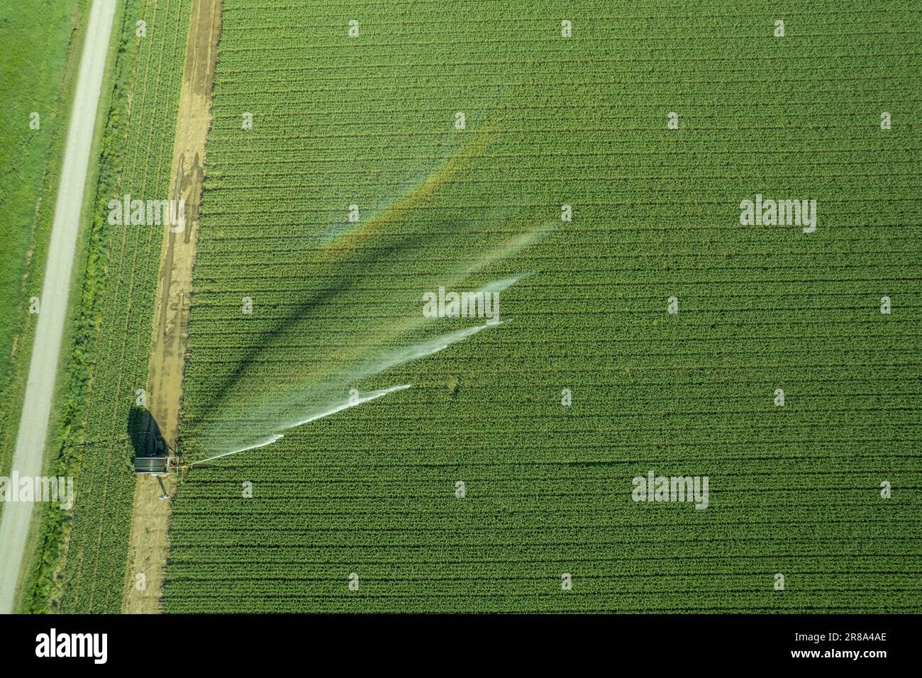 Aerial drone photography of agricultural irrigation system with a big ...