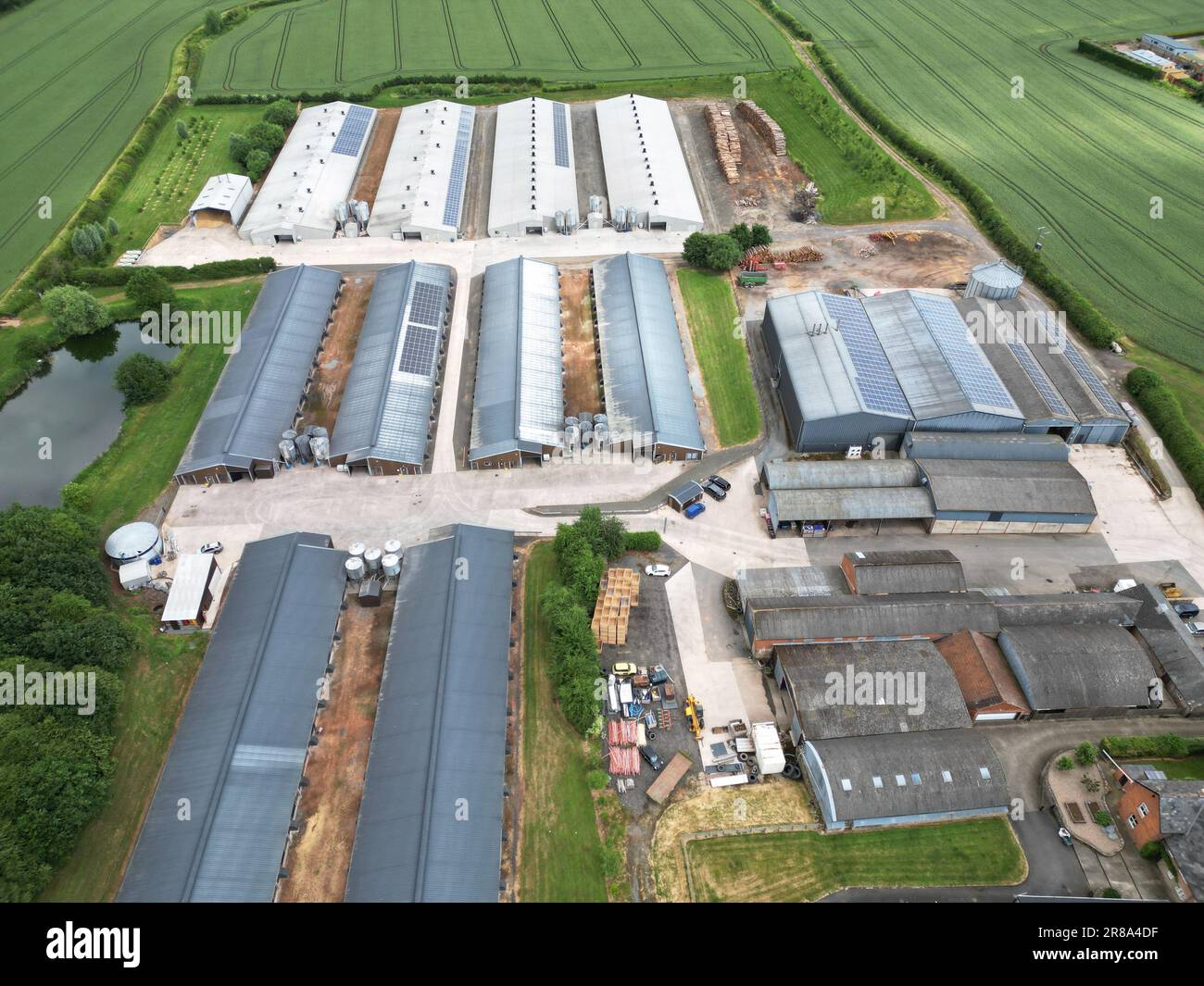Aerial view of large chicken poultry farm ( IPU ) in Herefordshire UK ...