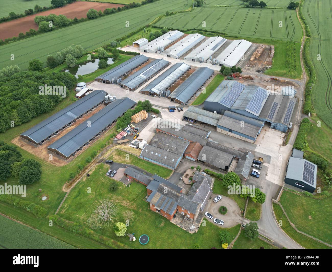 Intensive poultry unit hi-res stock photography and images - Alamy