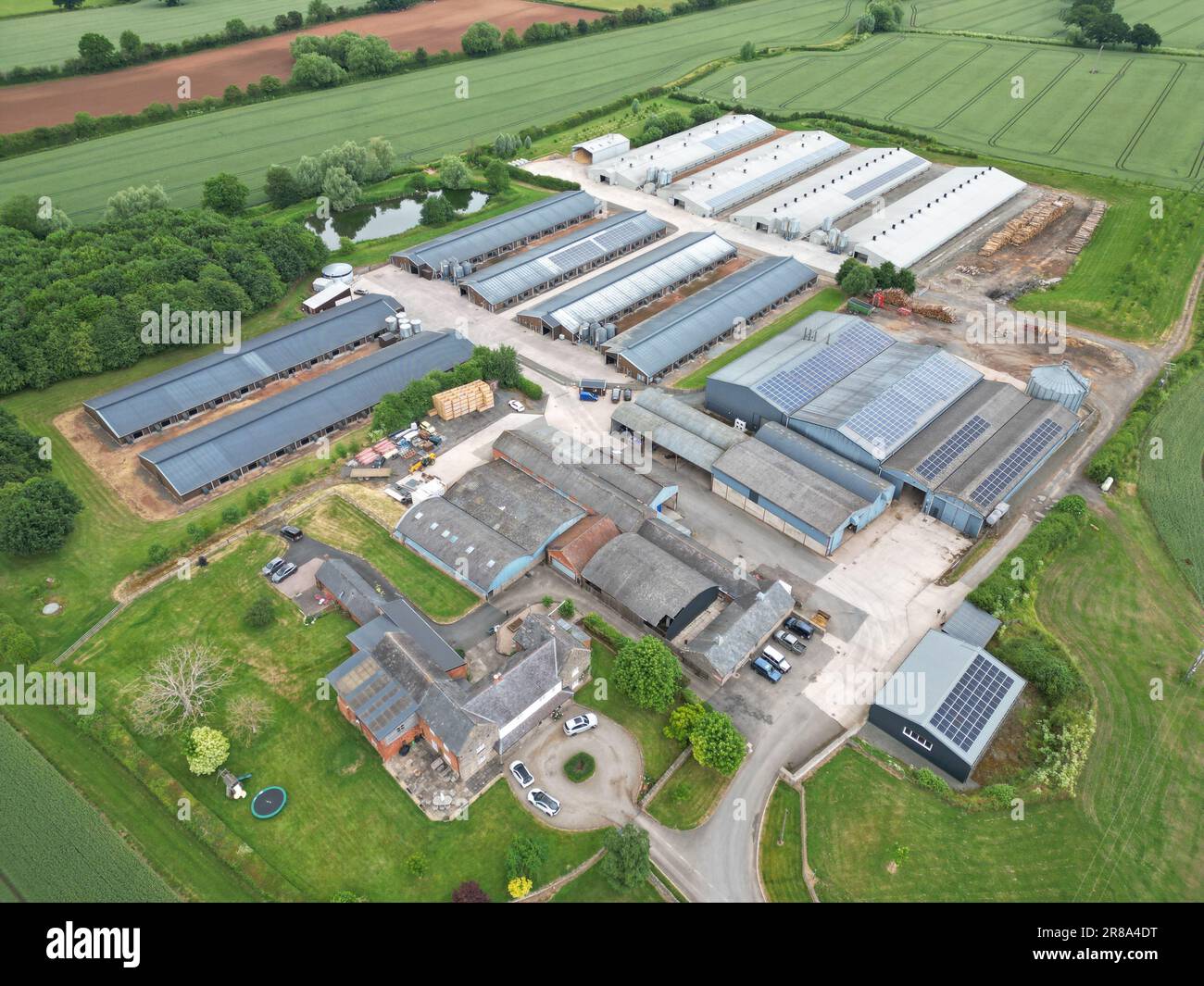 Intensive poultry hi-res stock photography and images - Alamy