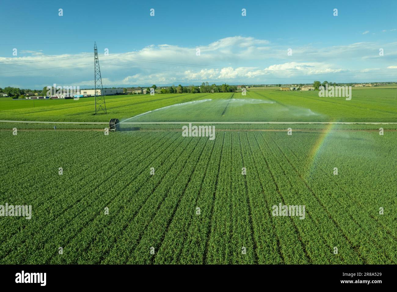 Aerial drone photography of agricultural irrigation system with a big ...