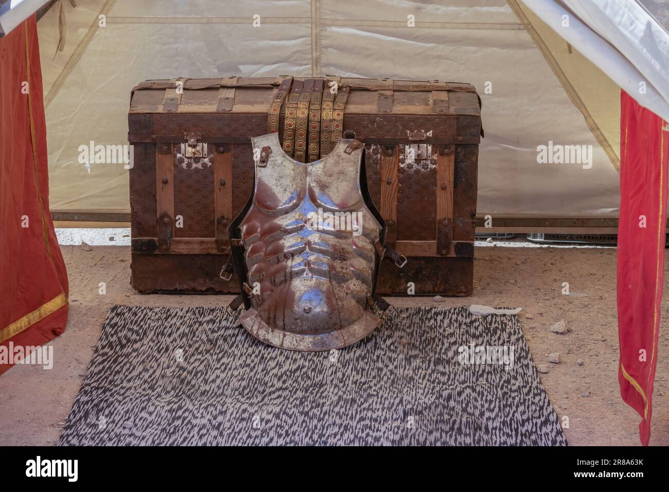 scene in horizontal view of an old trunk and ancient roman soldier ...