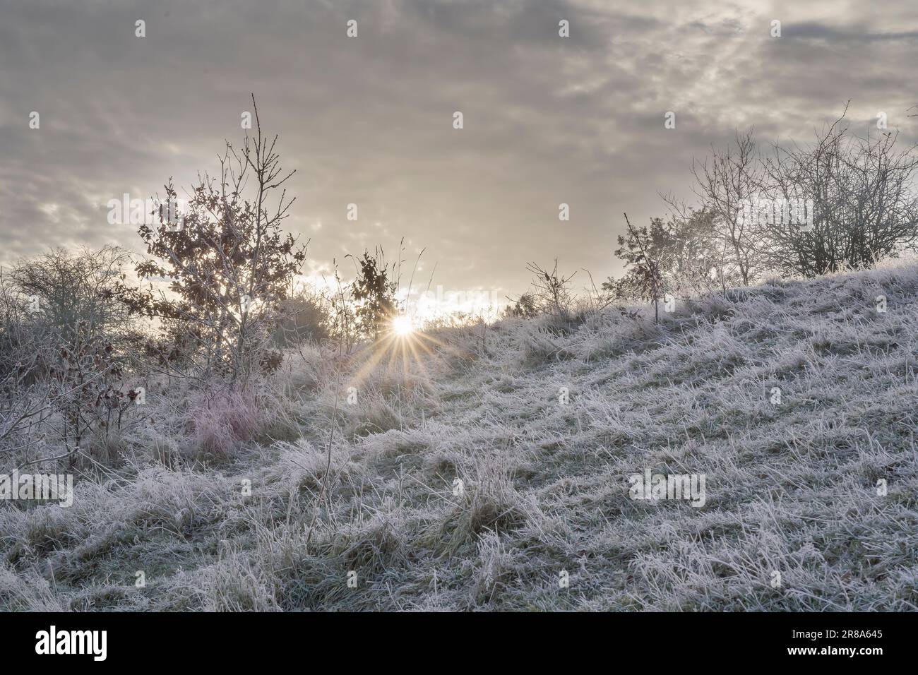 Frosty cold winter countryside landscape hi-res stock photography and ...