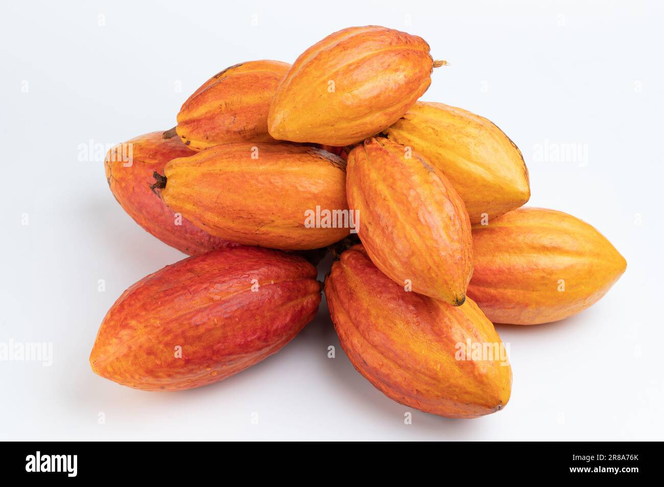 Bright orange color cacao pods in stack pile isolated on white studio ...