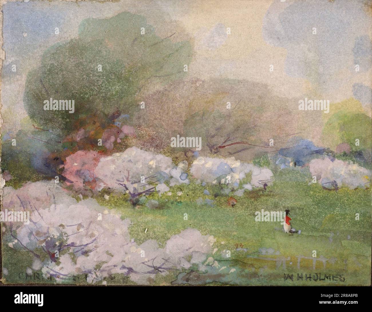 Cherry Blossoms n.d. by William Henry Holmes, born Cadiz, OH 1846-died ...