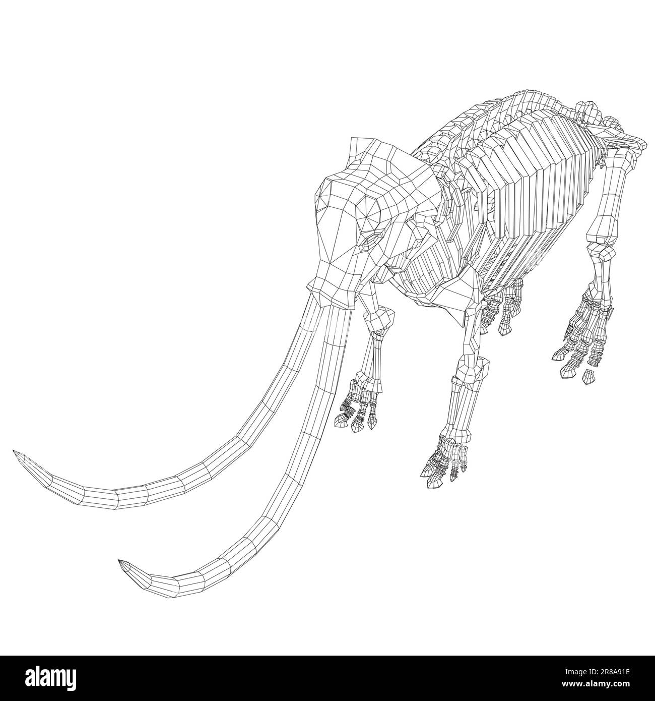 Vector Illustration of wireframe Mammoth Skeleton on Isolated White ...