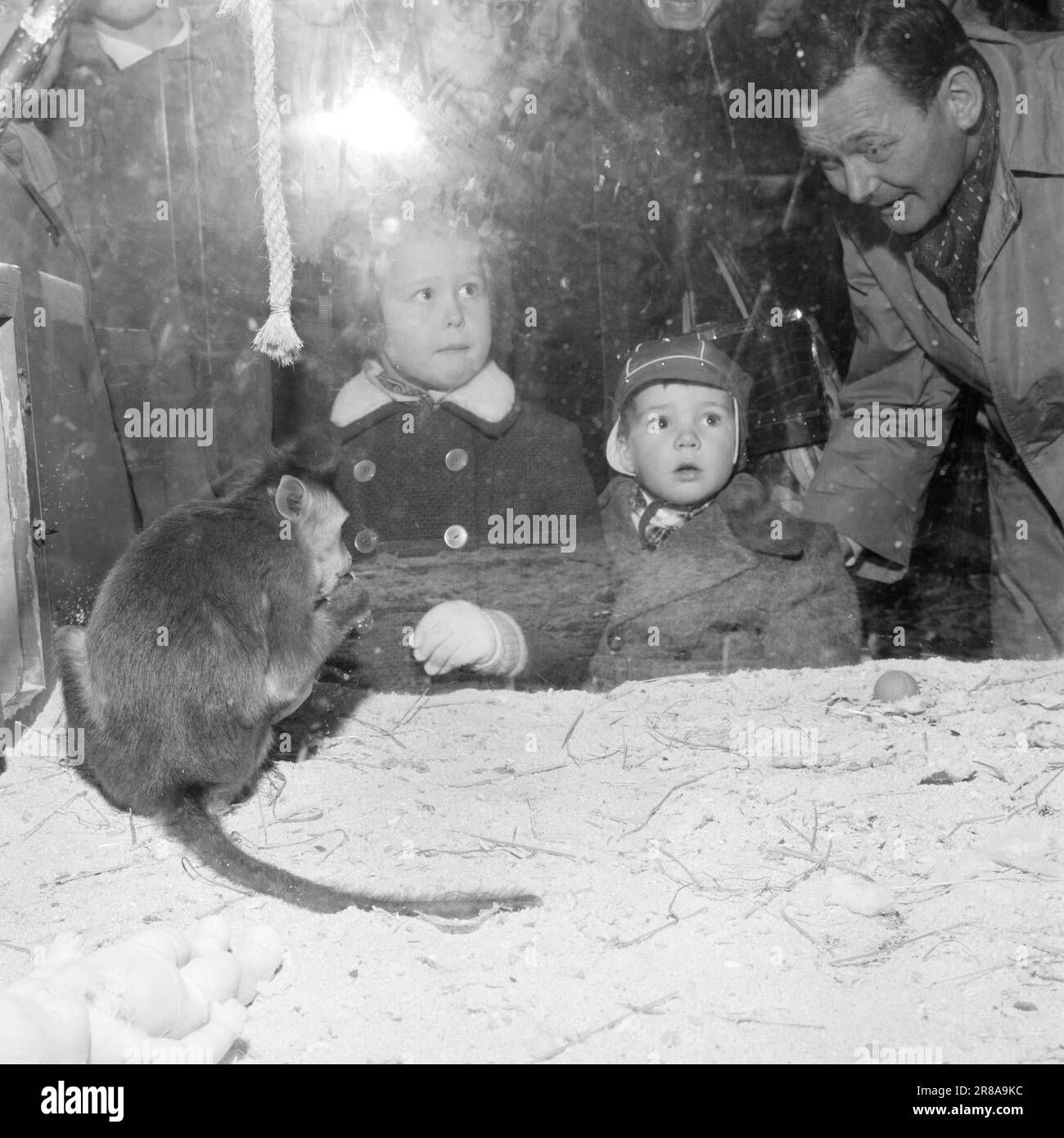 Beyond comprehension Black and White Stock Photos & Images - Alamy